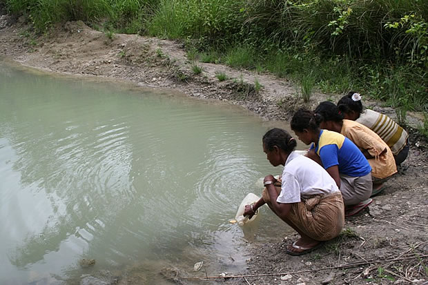 Water: simple solutions, big changes | CWS