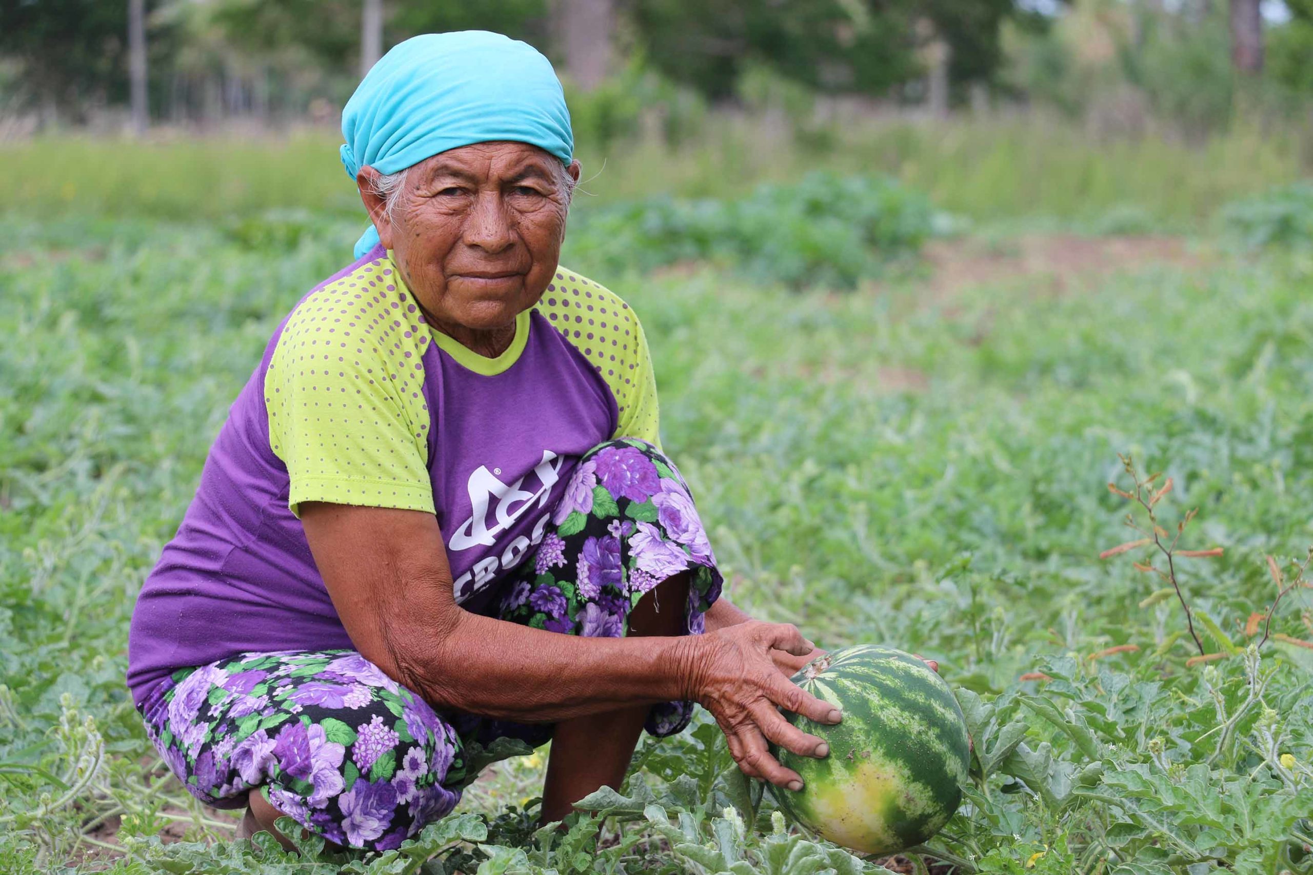 Amplifying Women's Voices - CWS