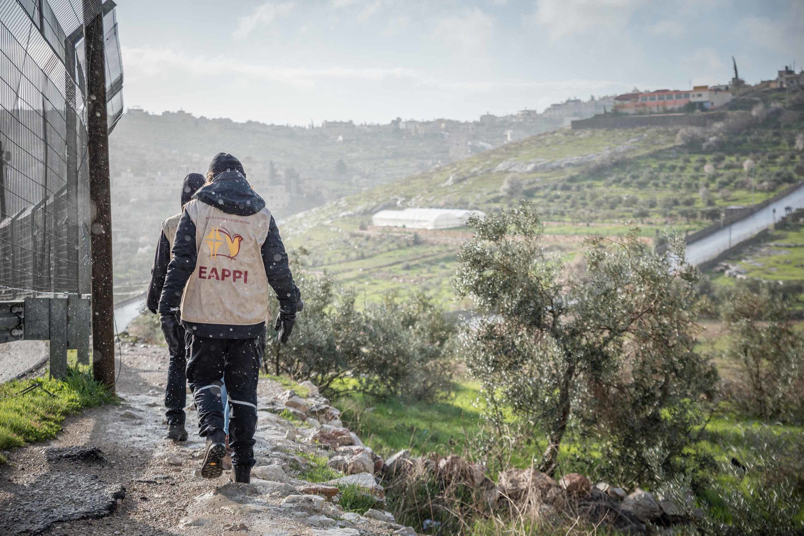 Israel and Occupied Palestinian Territories - CWS