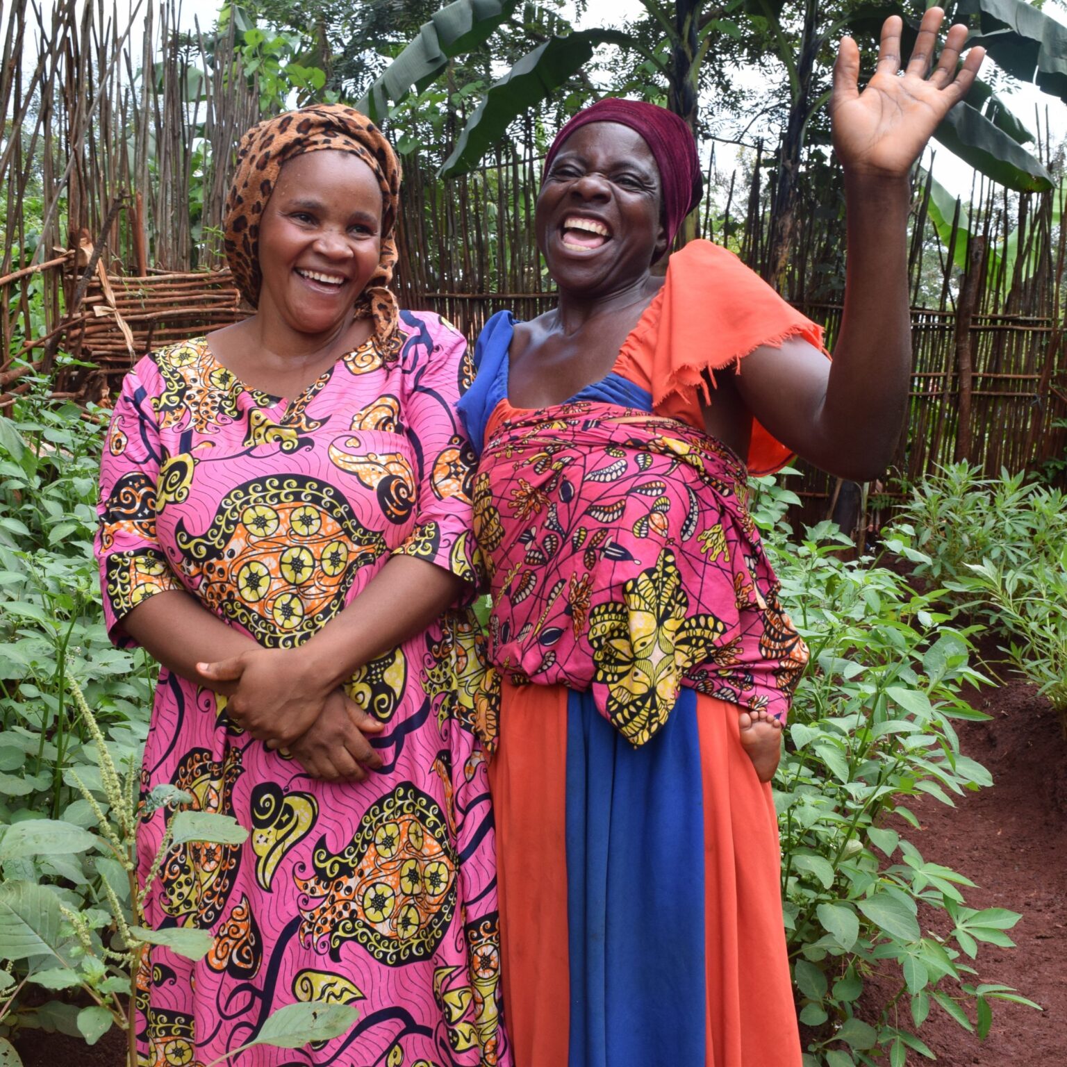 Stories of Change | CWS